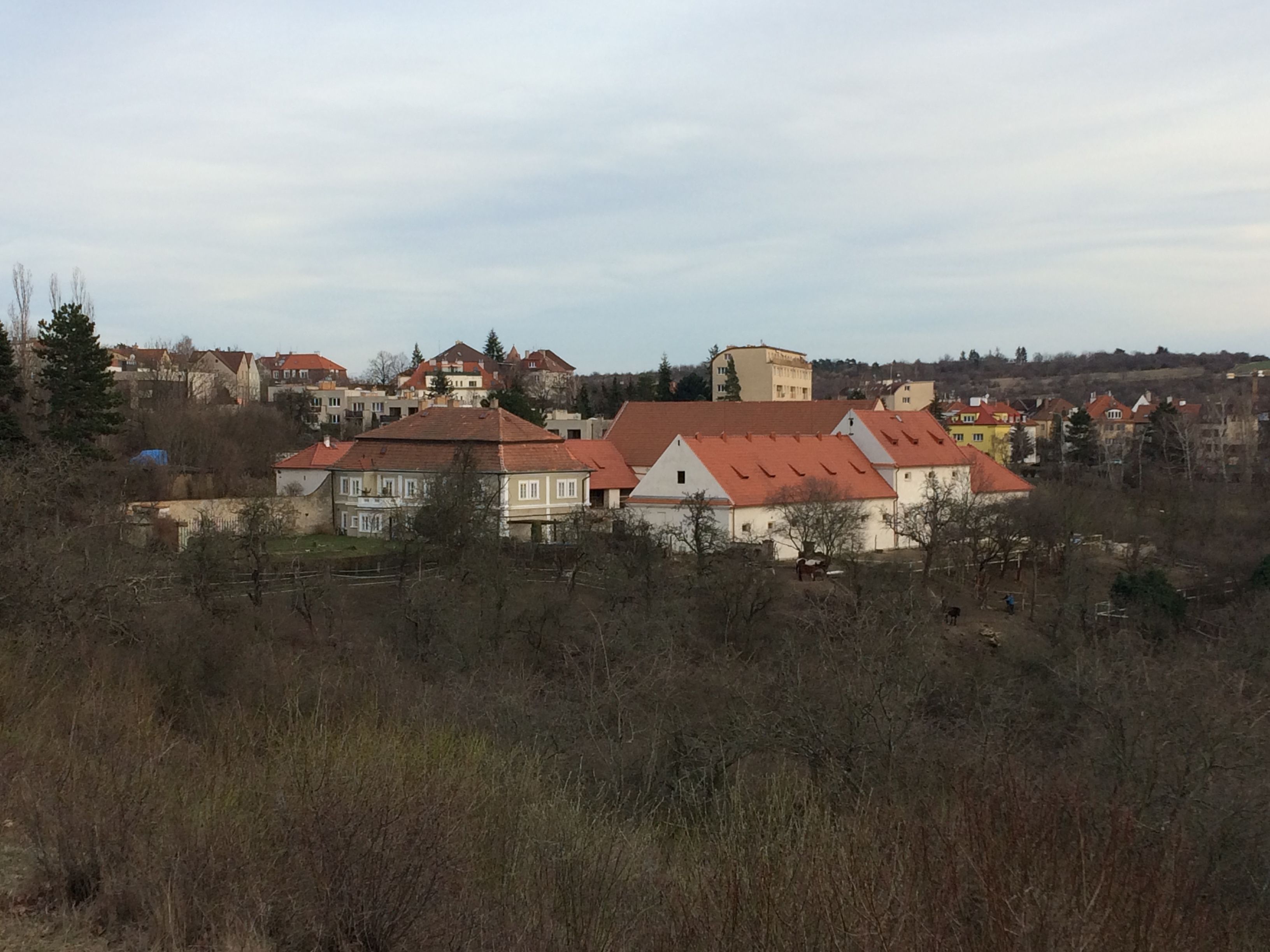 "bulovka" výsledky hledání