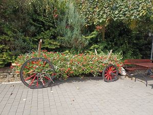 Visla (Město) • Mapy.com