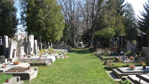 Photos • Kobyliský hřbitov (Cemetery) • Mapy.com