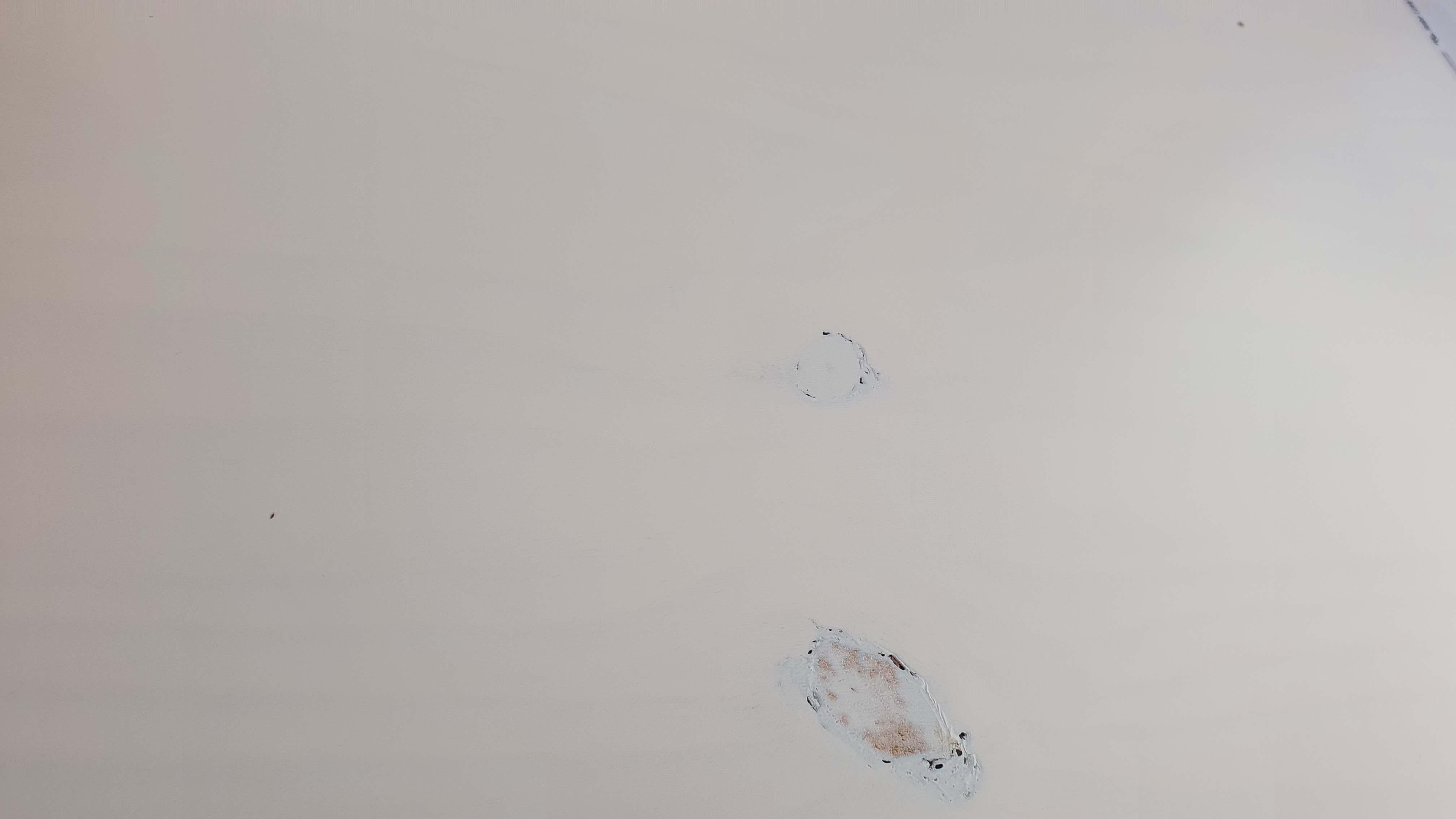 Möbelix (Liberec XI-Růžodol I), IČO 27127133, adresa a telefon • Firmy.cz