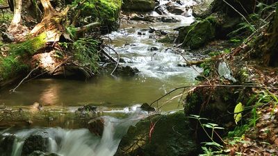 Podolínec (Mesto) • Mapy.com