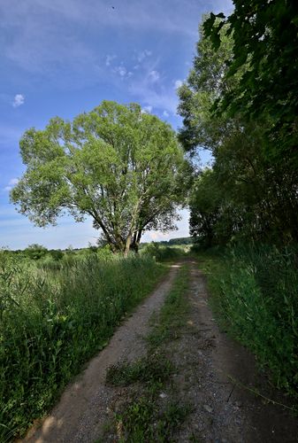 Fotogalerie • Tachlovice (Obec) • Mapy.cz