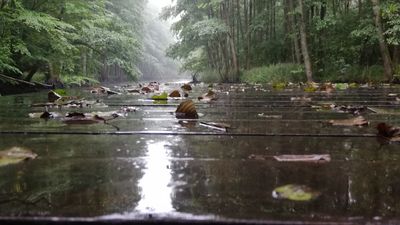 Drawa (Rzeka) • Mapy.com