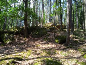 Žihle (Obec) • Mapy.com