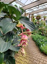 Botanická zahrada SOŠ Malešice (Botanická zahrada, arboretum) • Mapy.com